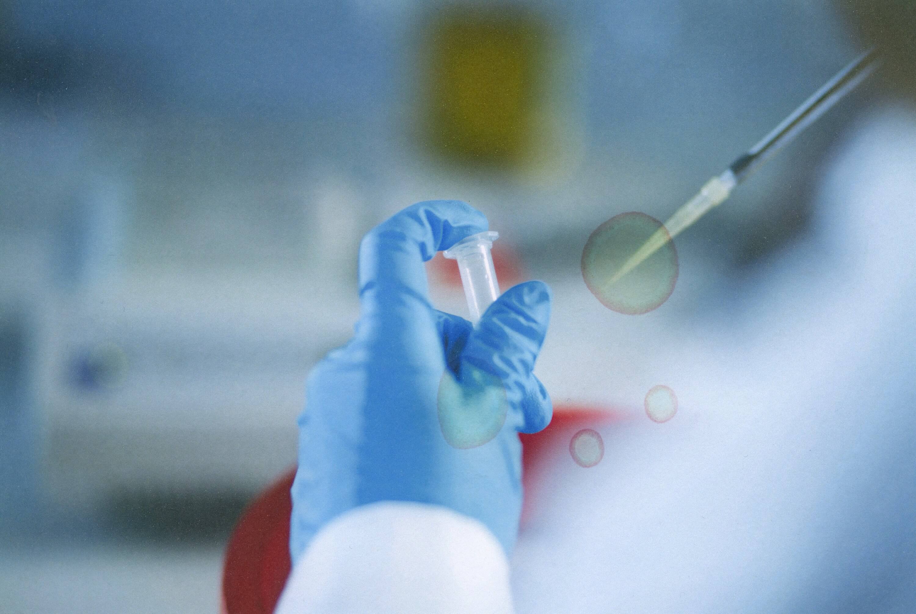 Tricking the immune system to fight germs