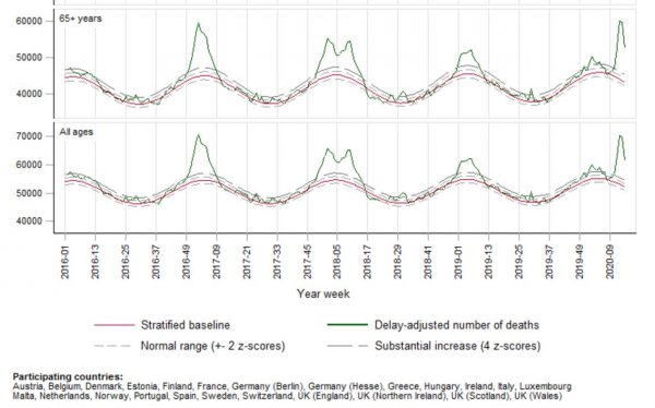Faktencheck zu Stefan Homburg: Warum seine Argumente zu kurz greifen