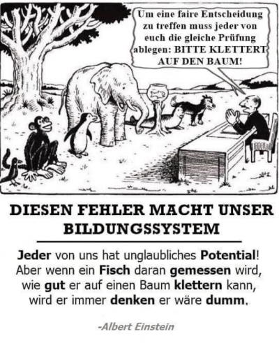 Fisch, der auf Baum klettert? Keine Belege für angebliches Einstein-Zitat