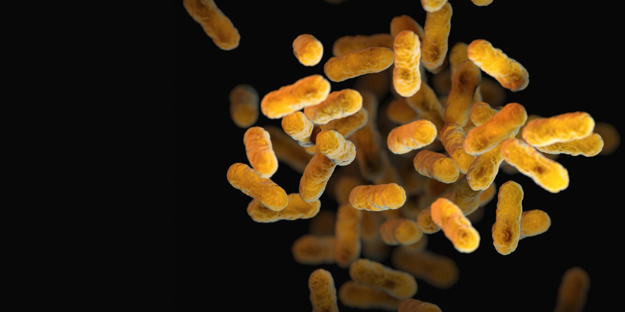 Mpox/Affenpocken Faktenchecks