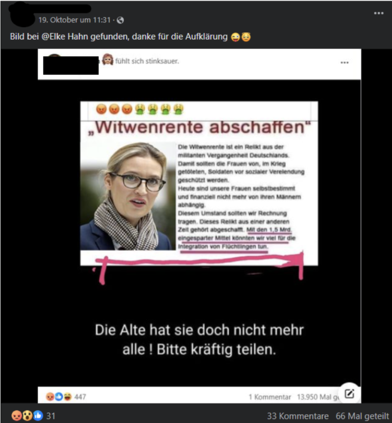 Alice Weidel will die Witwenrente nicht abschaffen