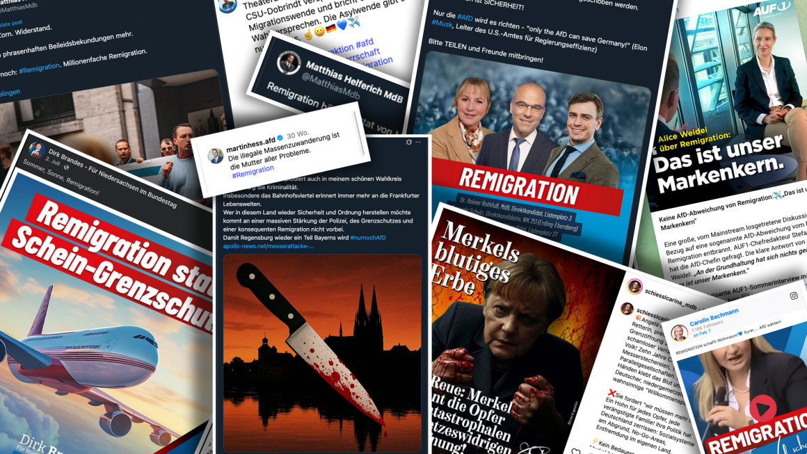 AfD und Social Media: MdB posten alle zwei Tage „Remigration“