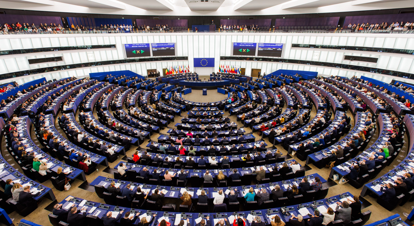 EU-Abgeordnete fordern ein Verbot der AfD-Europapartei ESN